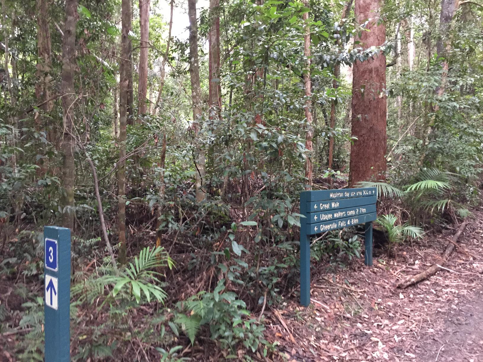 Mapleton National Park: Gheerulla Full Loop Hike - Adventure Sunshine Coast